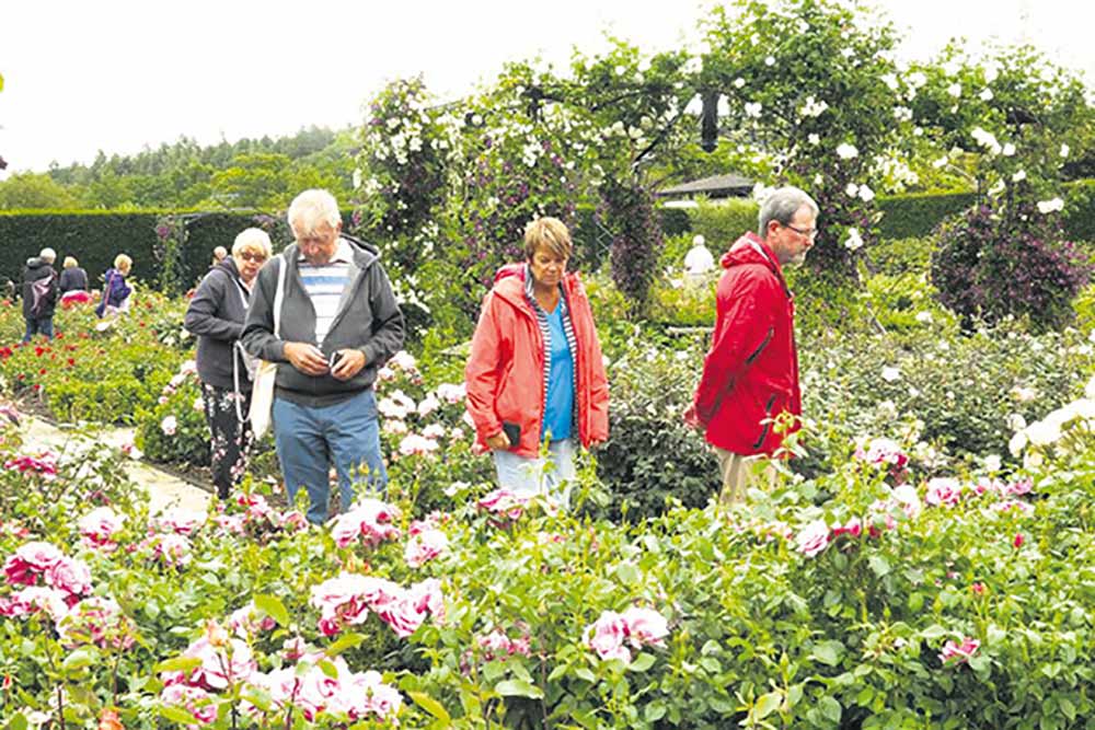 Lady Anne Berry the lady who donated Rosemoor to the RHS – Country Gardener