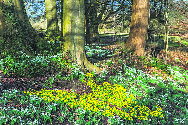 Cerney House Gardens – Country Gardener