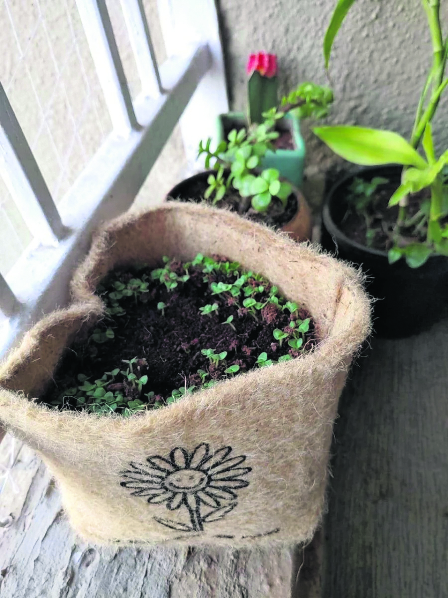 Potting perfection – Country Gardener