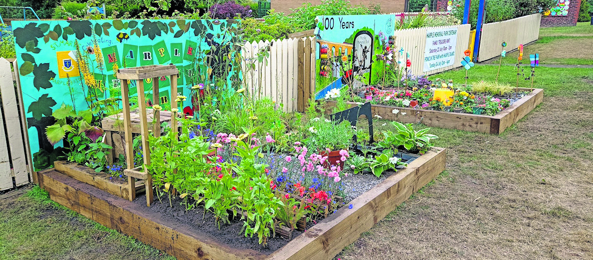 Gardening lessons in our schools – Country Gardener